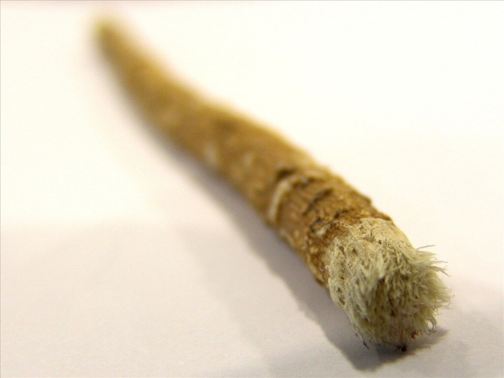 Miswak | The One Who Values Miswak | How to use Miswak