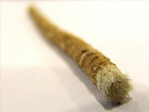 Miswak | The One Who Values Miswak | How to use Miswak