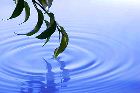 How to Perform Ghusl in Islam - Method of Ghusl (Hanafi)